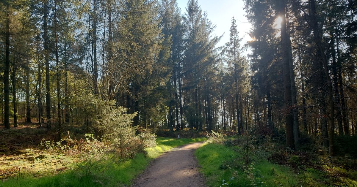 Penrith Beacon | Dog Walks in Cumbria
